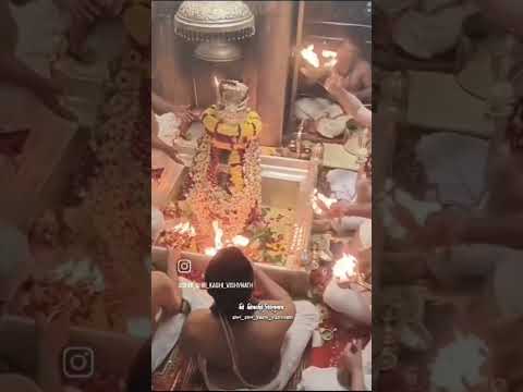 Har Har mahadev 🙏 #l #birds - YouTube