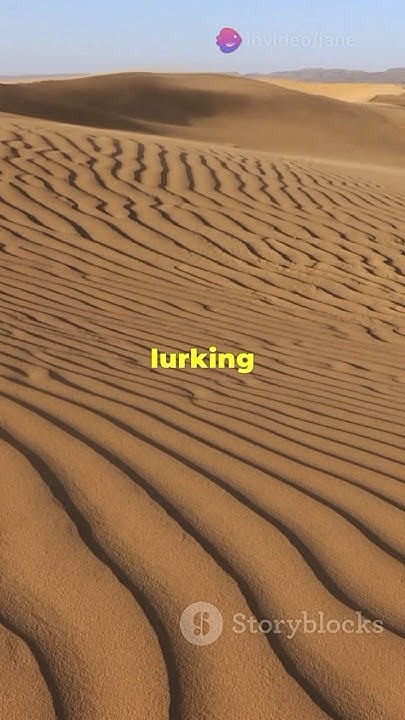 The Deadly Mongolian Big Death Worm: Myth or Reality?🇲🇳🪱 #didyouknow # ...