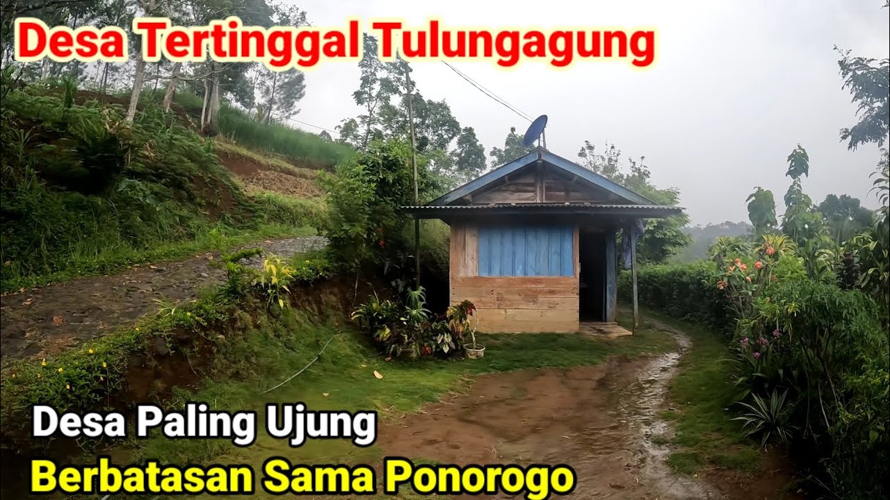 Desa Paling Tertinggal dan Terpencil di Gunung Wilis Tulungagung - YouTube