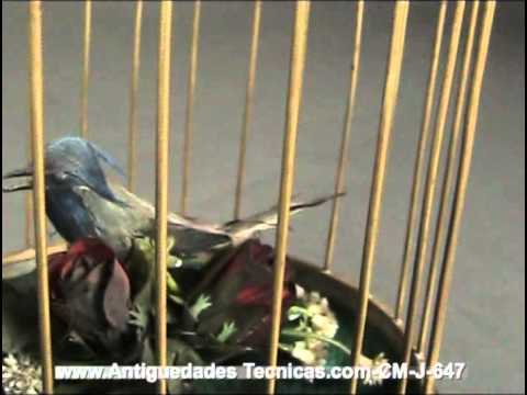 Curioso Pájaro Autómata con Jaula, Fabricado en Alemania en los Años 30 ...