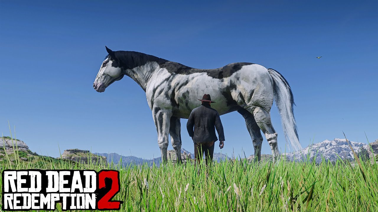 The rarest horse ( American paint ) you can find as Arthur - RDR2 - YouTube