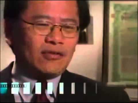 Bre X Minerals Gold Mining Scandal - YouTube
