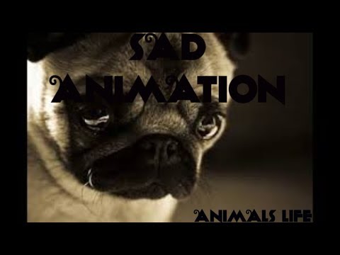 SAD ANIMATION - THE ANIMALS LIFE PART 1/2