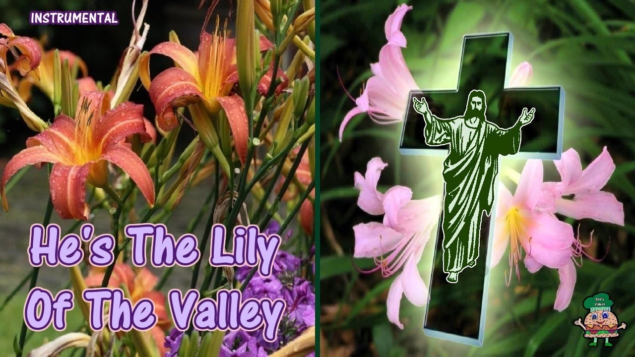 Lily of the Valley w Lyrics Inst - YouTube