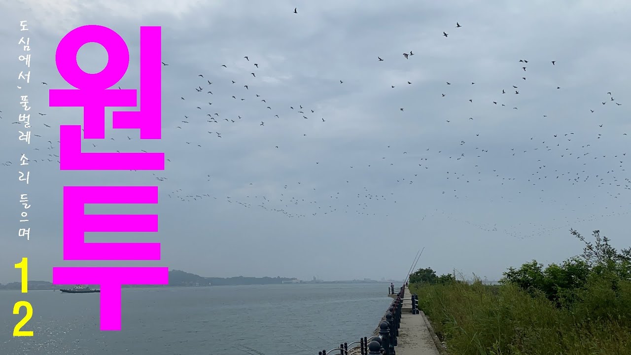 서해 원투낚시 포인트 in 인천 shore fishing in Incheon, South Korea - YouTube