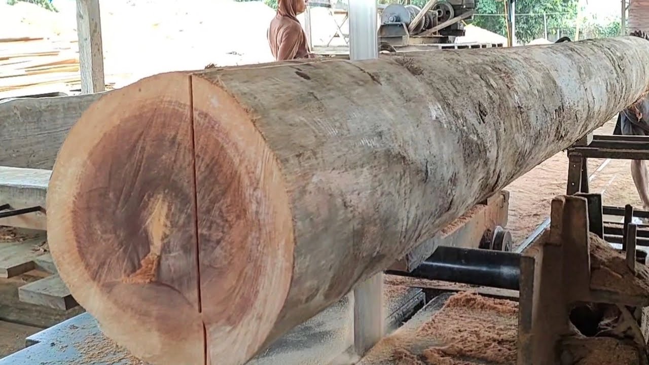 proses penggergajian kayu keruing vs kayu Meranti - YouTube