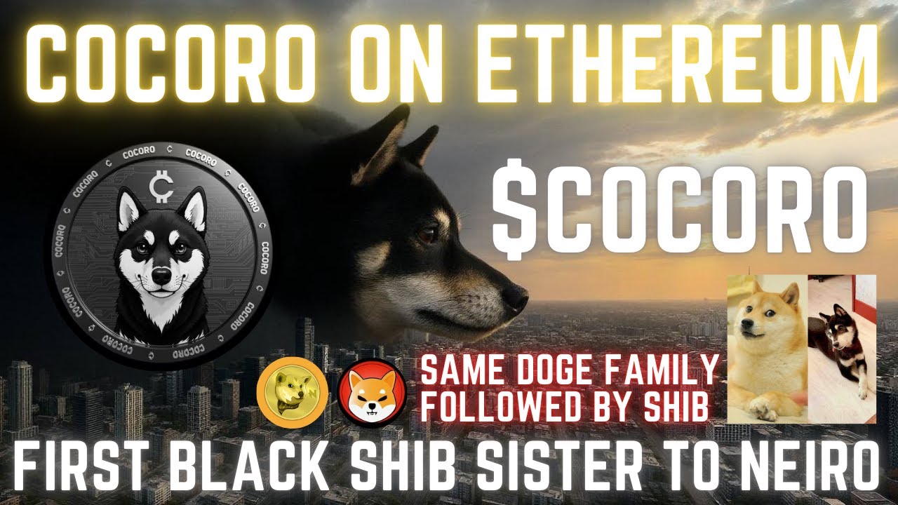 Cocoro on Ethereum | $COCORO Continues to Rise! New All Time Highs ...