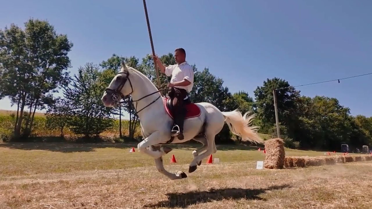 13. Šokačka alka - Selci Đakovački 2024. - YouTube