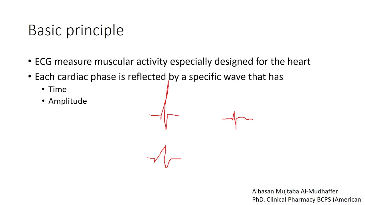 Principles of ECG interpretation for beginners - YouTube