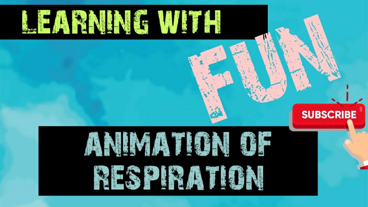 Animation of Respiration system Must watch - YouTube