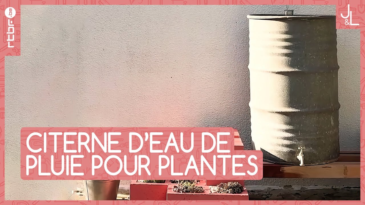Une citerne d'eau de pluie pour arroser vos plantes | Jardins et ...