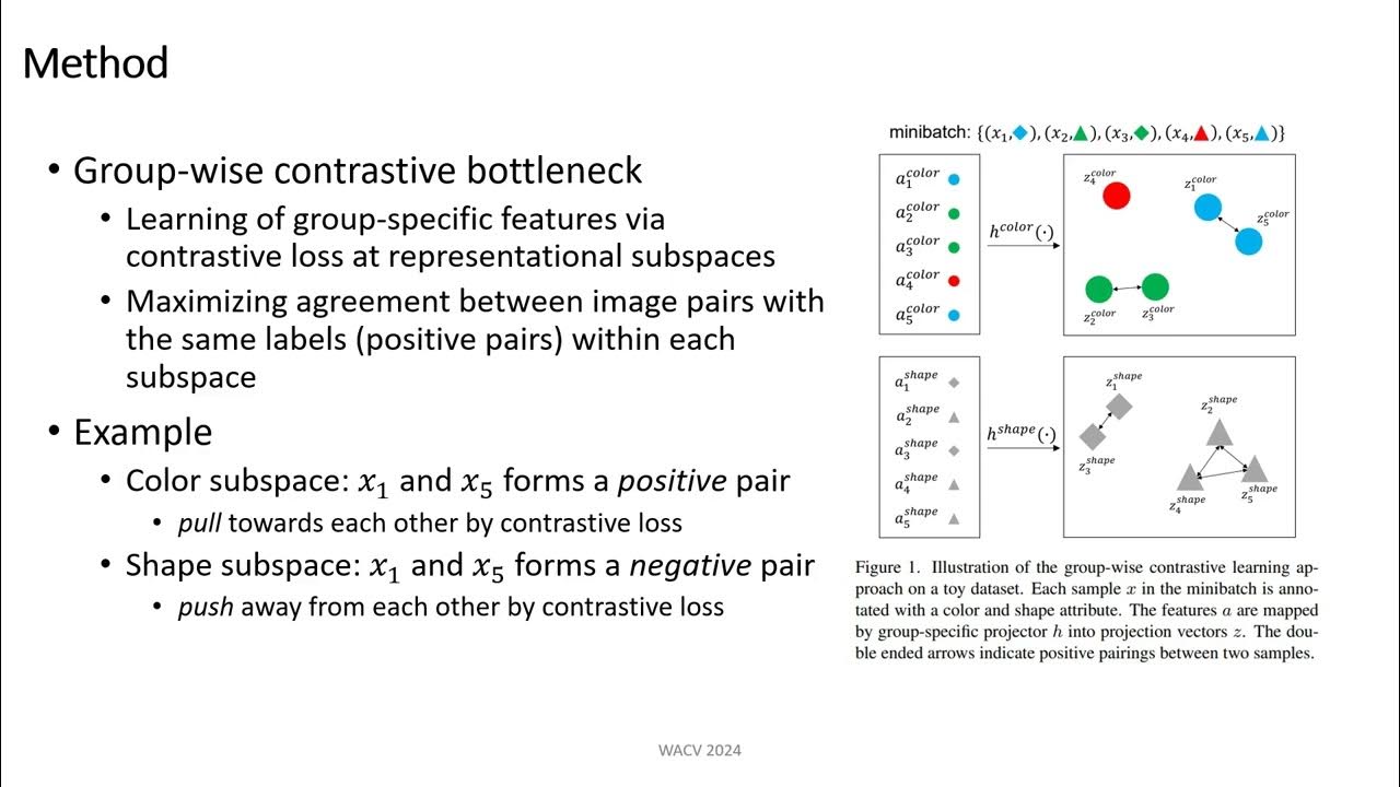 Group-Wise Contrastive Bottleneck for Weakly-Supervised Visual Representation Learning - YouTube