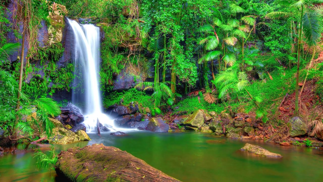 Relaxing Piano Music , Meditation Music,Morning Piano Music , Spa Music ...