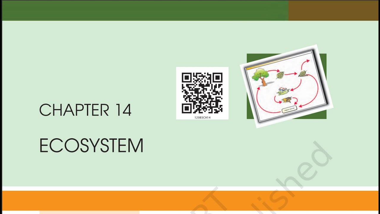 class 12th biology chapter 14: ECOSYSTEM -audiobook - YouTube