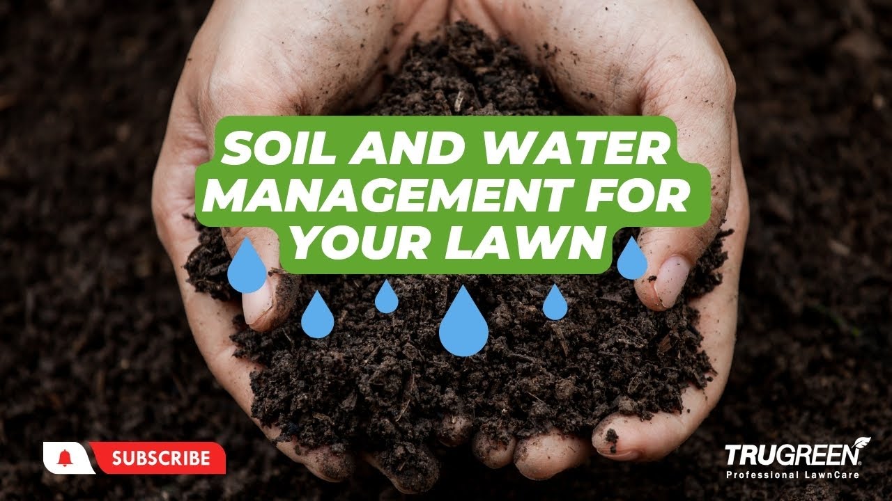 How To Introduce a Water Management Programme For Your Lawn - YouTube
