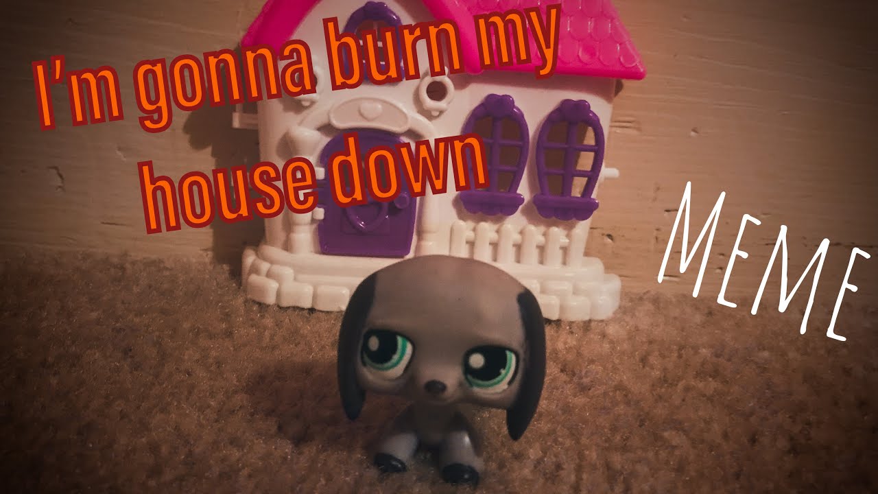 I’m gonna burn my house down | meme - YouTube