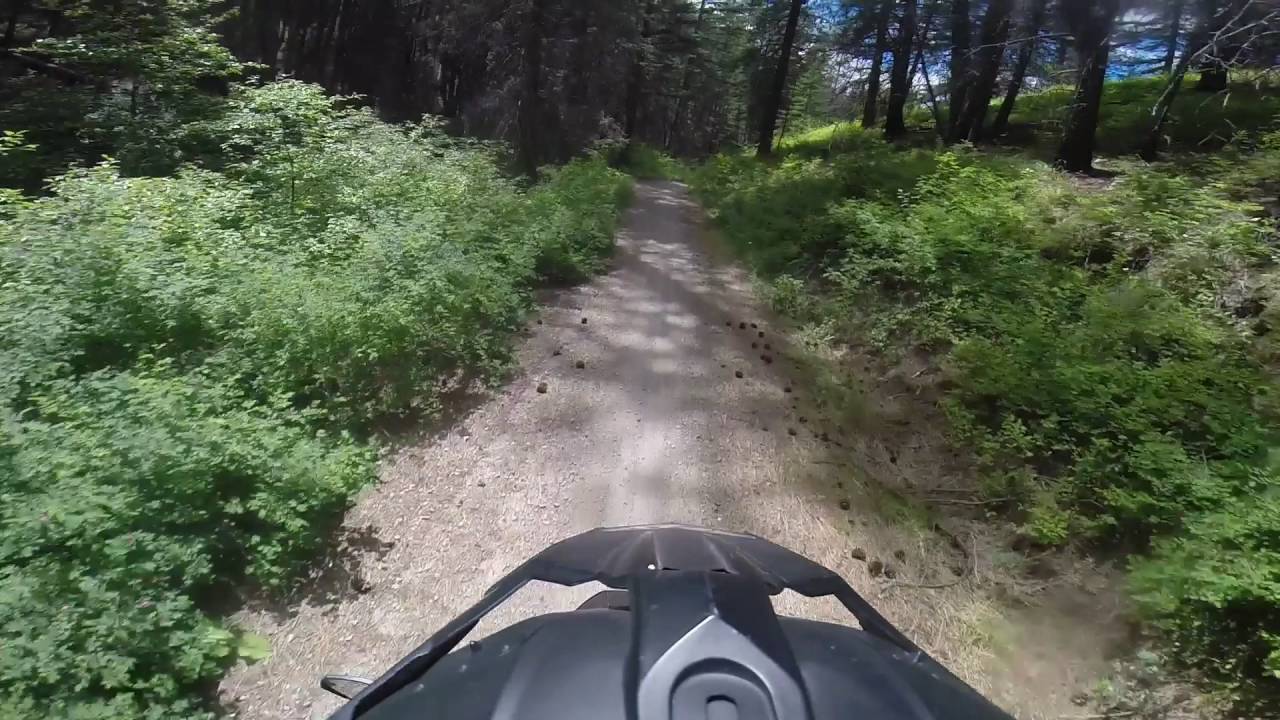 FS 7100 - YouTube