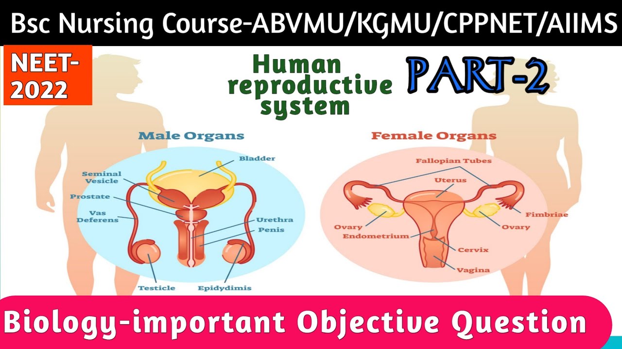 Bsc Nursing Entrance Exam-2022 UP ABVMU KGMU CPPNET | Biology Question Bsc Nursing entrance exam ...