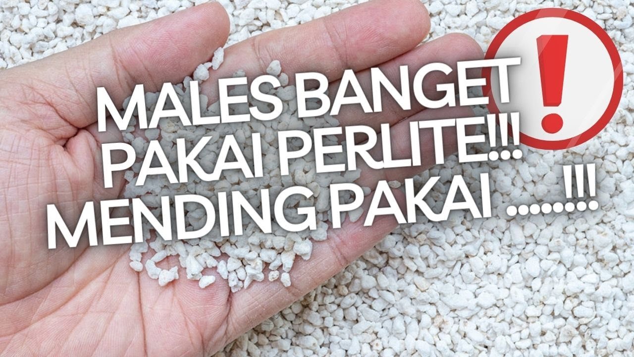 GOOD BYE PERLITE 🥹 - YouTube