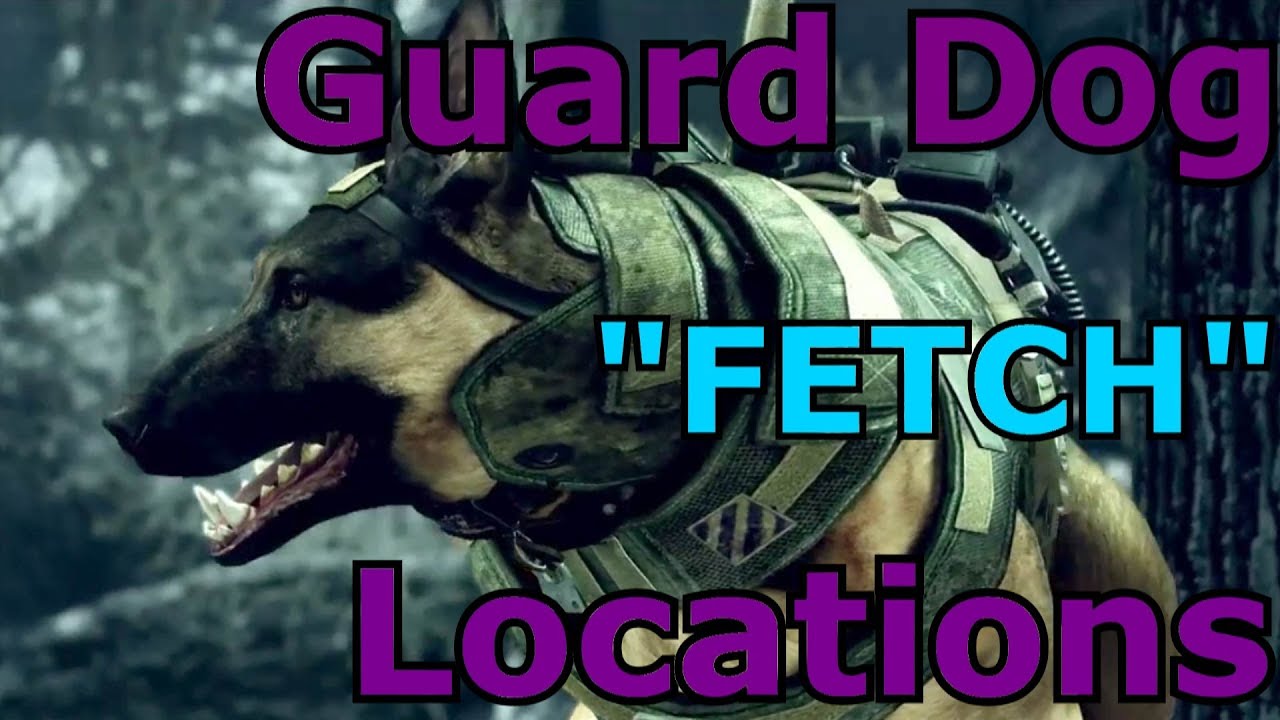 COD Ghosts Guard Dog "FETCH" Locations (How to control your guard dog ...
