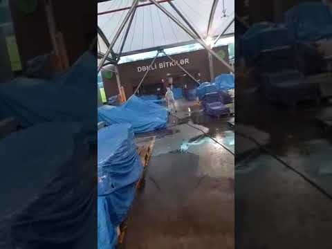 YAŞIL BAZAR...2 Cİ DİZİNFEKSİYA