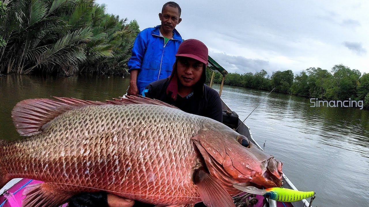 Saat Kondisi Begini Ikannya Tambah Agresif & Lebih Besar 🎣 Mancing Ikan ...