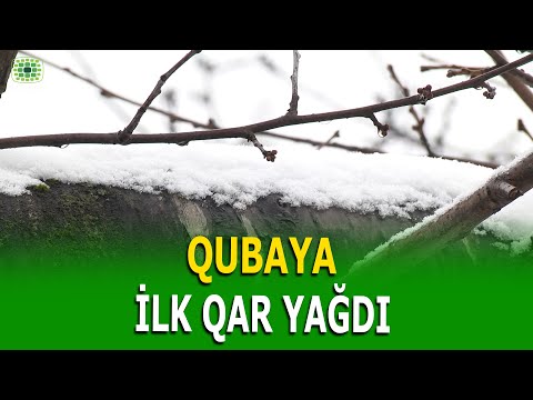 QUBAYA 10 SM HÜNDÜRLÜKDƏ QAR YAĞDI