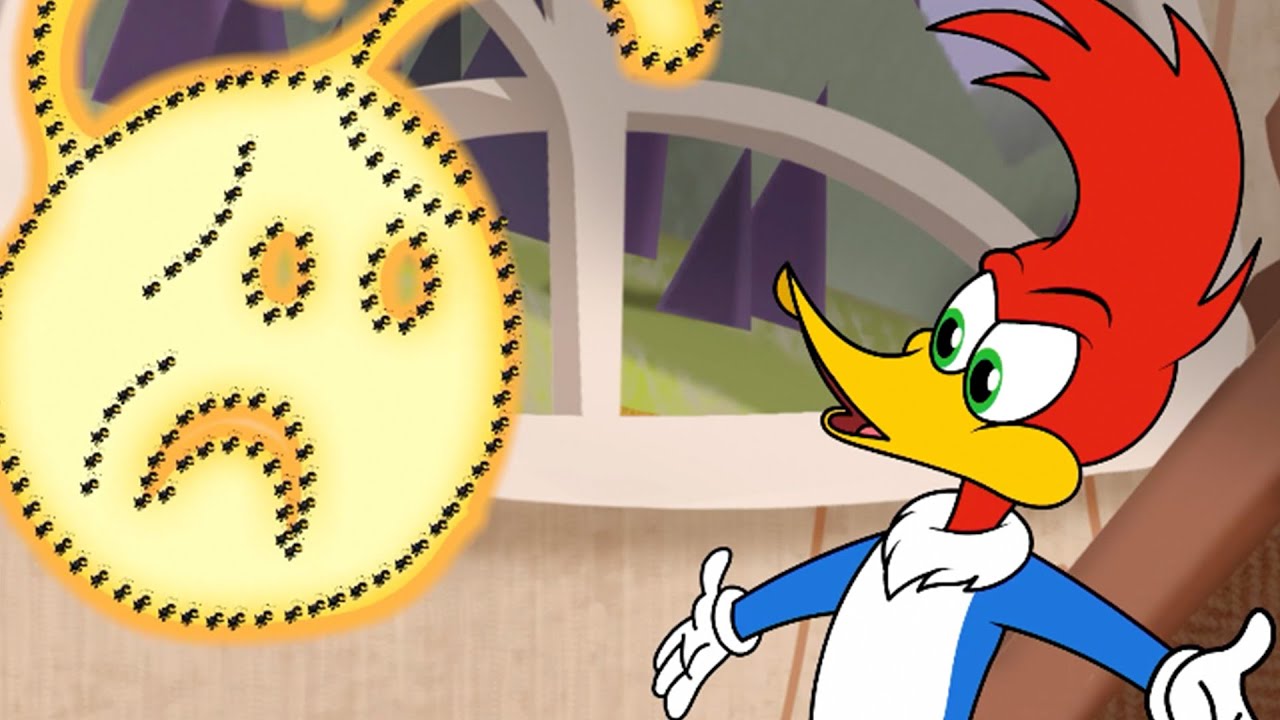 La loca cacería de abejas de Woody | El Pájaro Loco - YouTube