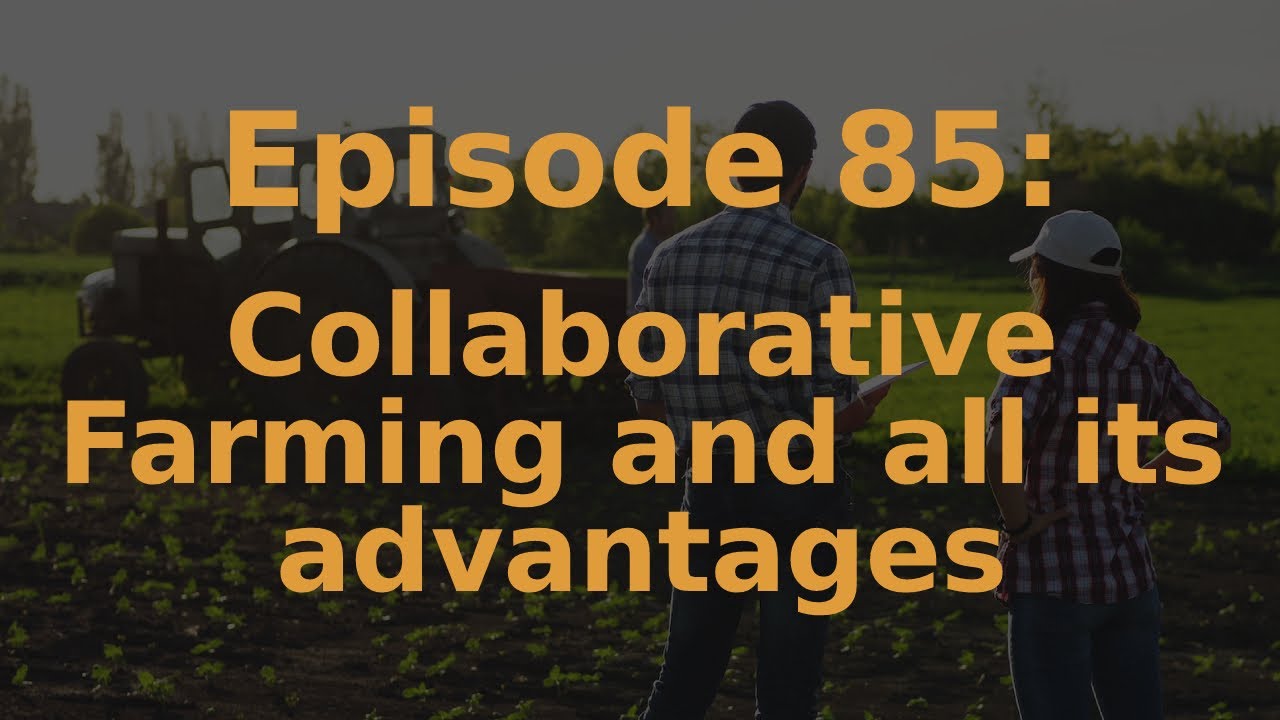 Episode 85 - Collaborative Farming - YouTube