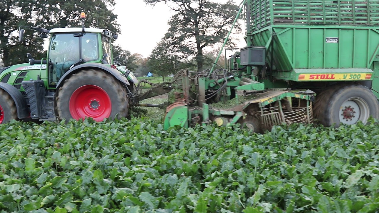 Fendt 714 mit Stoll V 300! - YouTube