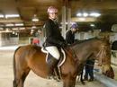 Da Crazy Horses!