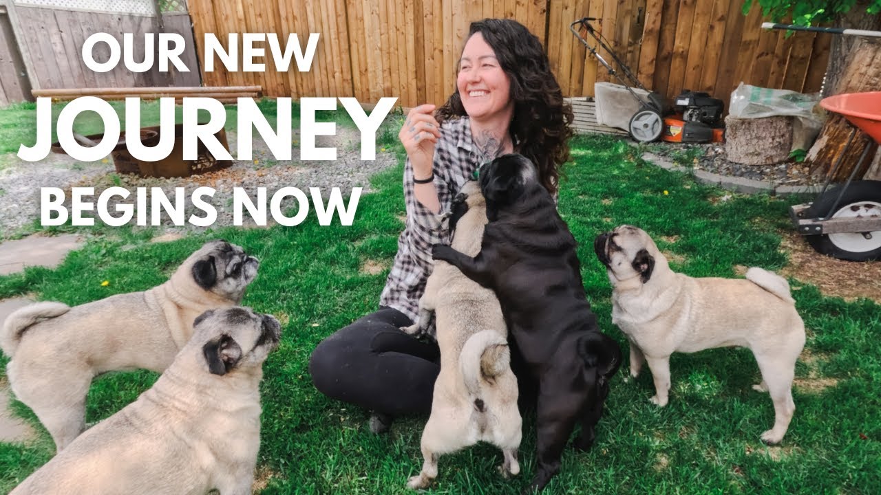 Ep 03 | My Semi-Nomadic Pet and Farm Sitting Journey Begins 🚘🐾 - YouTube