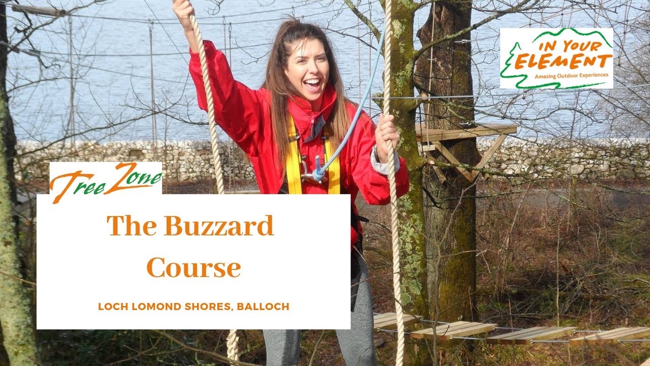TreeZone Loch Lomond and Aviemore - The Buzzard - an In Your Element ...