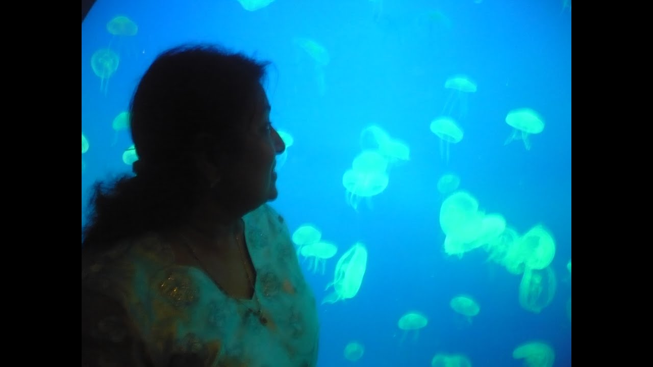 Happy Birthday Valsa George - Celebrating 75 Years of Love and ...