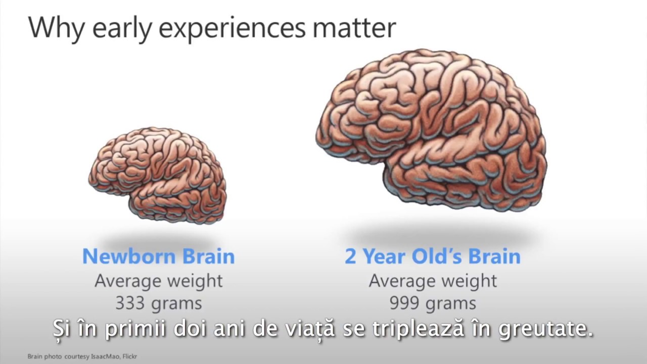 TEDxRainier Dimitri Christakis Copiii si Televizorul Media and Children ...