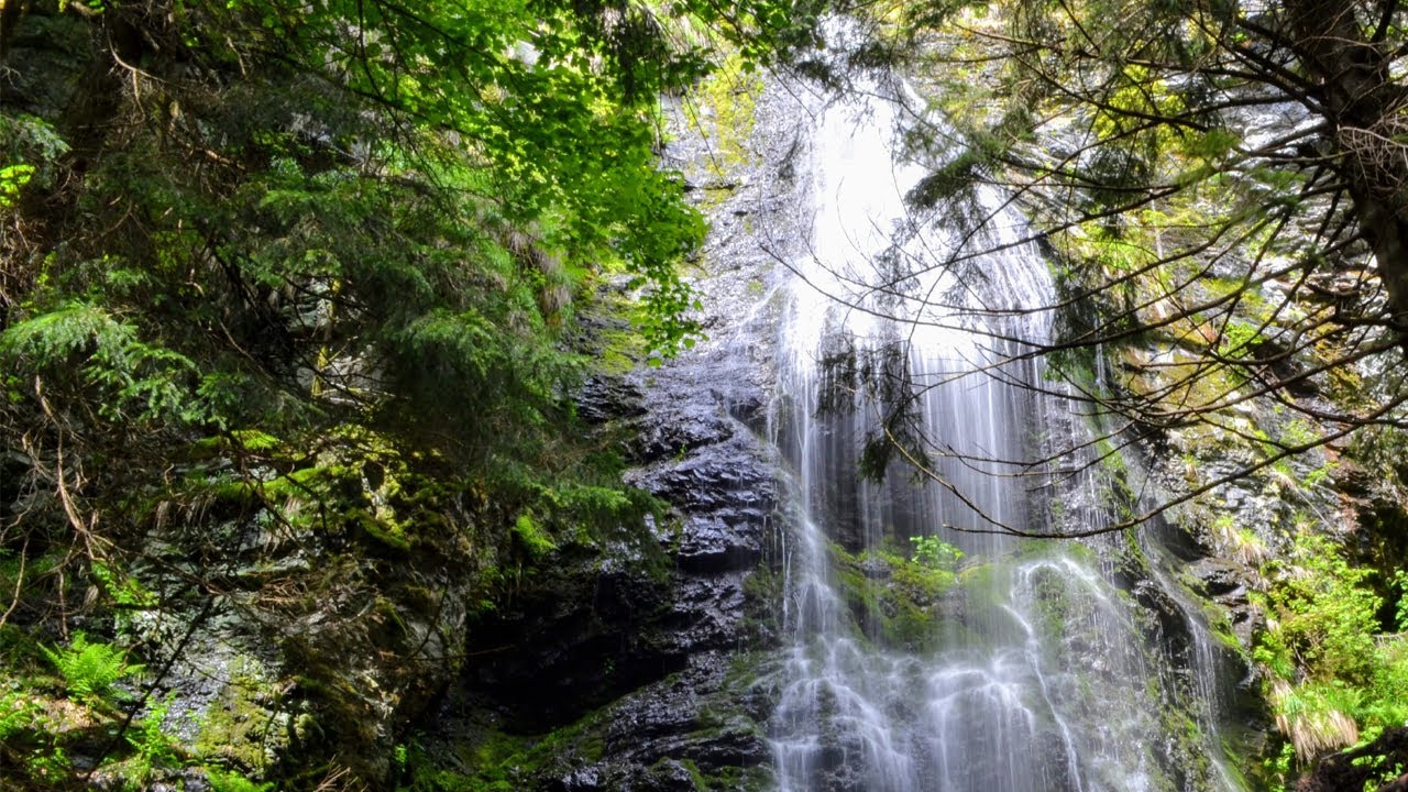 Relaxing Waterfall Nature Sounds - Water Forest Relaxing Music - YouTube