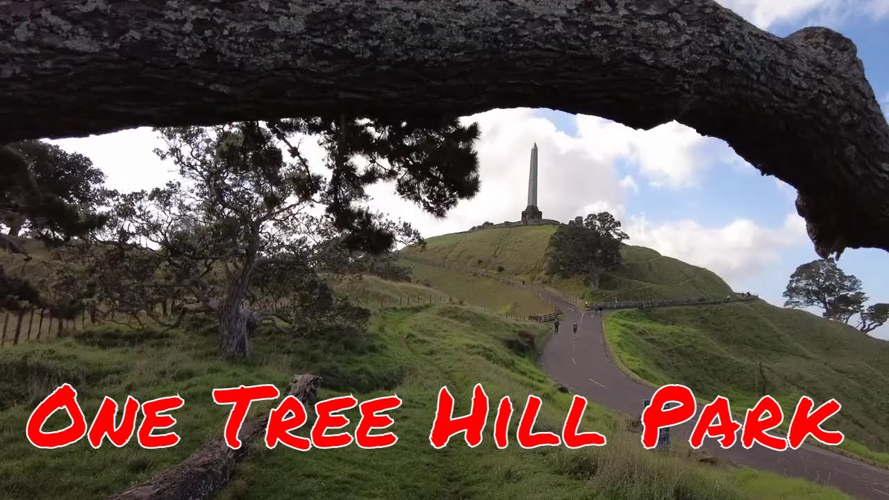 Autumn scenes, Auckland One tree hill park and Cornwall park 2021 - YouTube