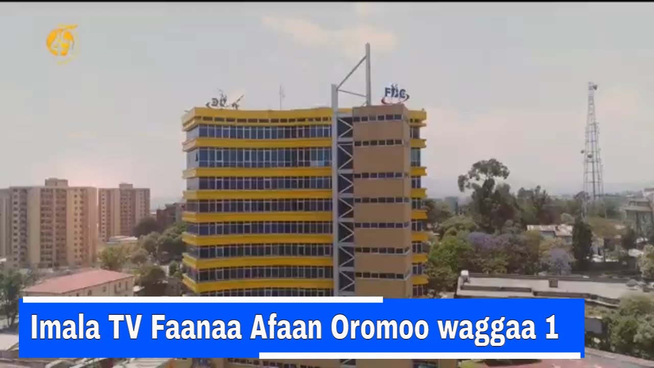 Imala TV Faanaa Afaan Oromoo waggaa 1 - YouTube