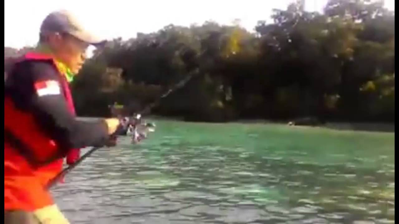 Memancing ikan GT (giant travelly) dengan teknik mancing popping # ...