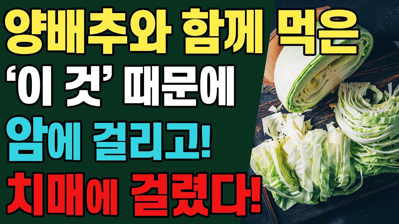 양배추와 절대로 함께 먹지마세요 암과 치매에 걸릴 수 있습니다 같이 먹으면 최악의 궁합인 음식 3가지와 좋은 음식 3가지