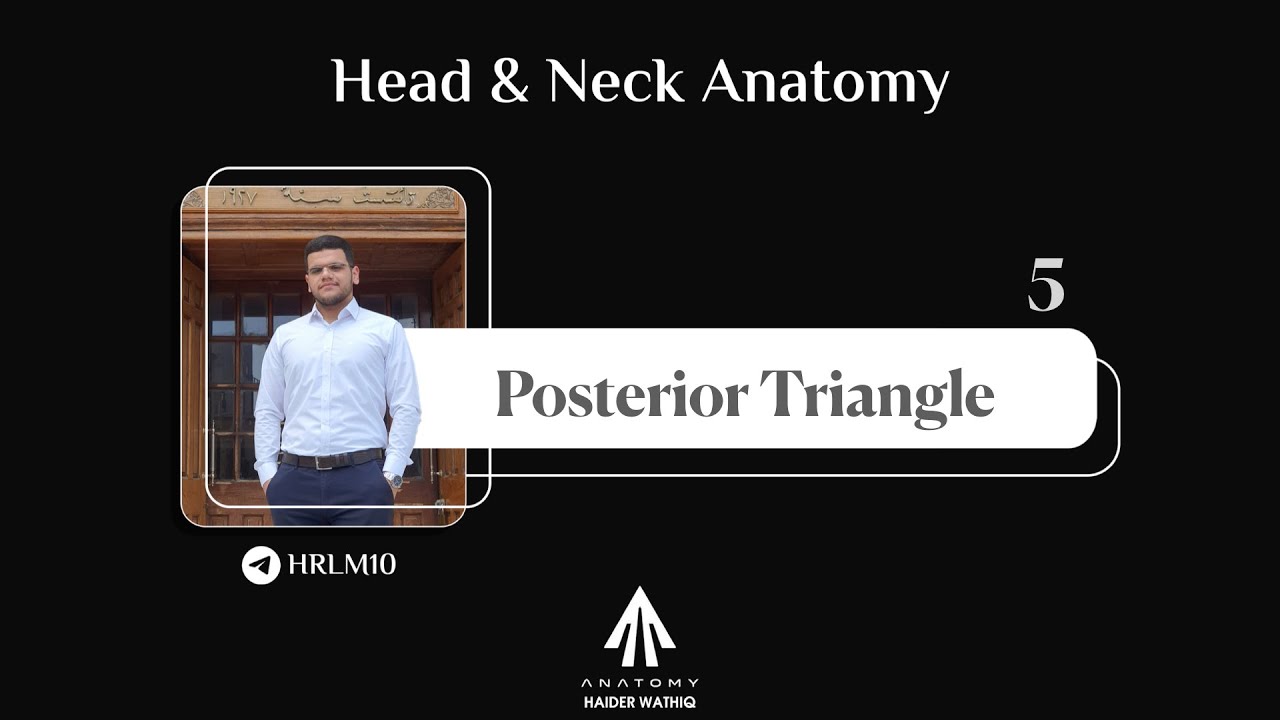 Head & Neck anatomy | Lec 5 | Posterior Cervical Triangle - YouTube