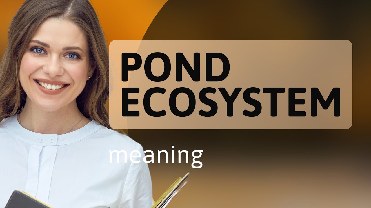 Exploring the Pond Ecosystem: A Dive into Nature - YouTube