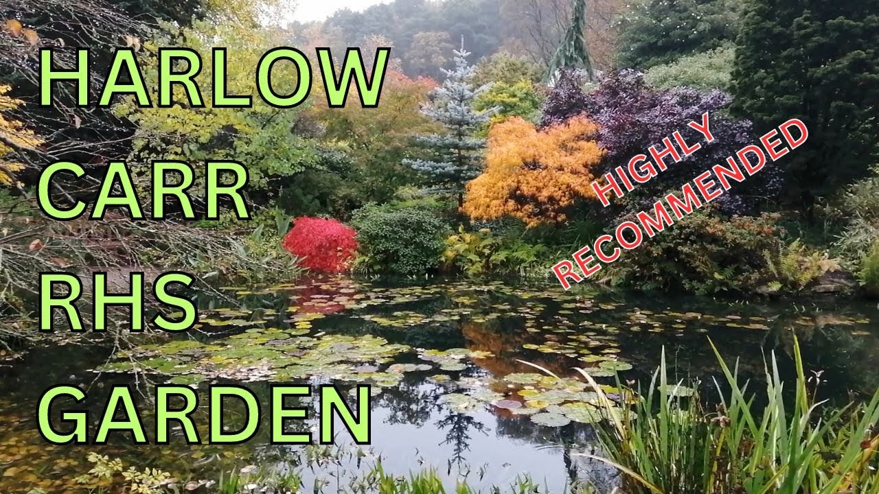 Harlow Carr Garden Walking Tour RHS Autumn Colour and Structure - YouTube