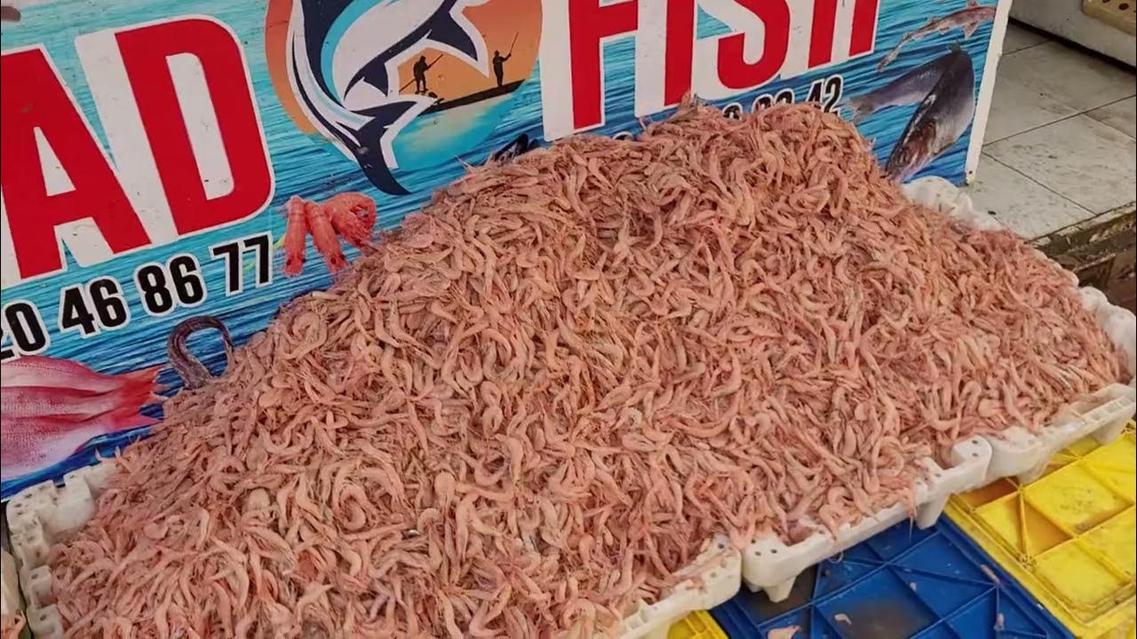 بغيتي تاكل الحوت النقا او الجودة او حتى الثمن مناسب مرحبا بيك في محل ...