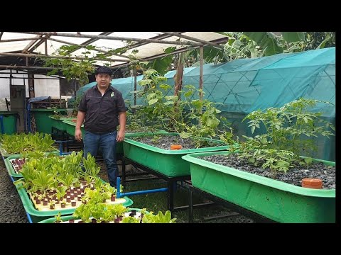 Integrated Aquaponics System by MADE