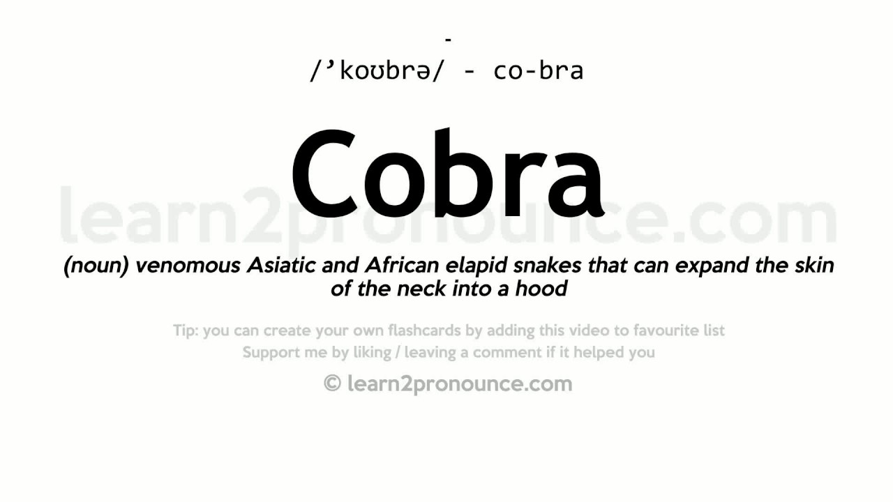Pronunciation of Cobra | Definition of Cobra - YouTube