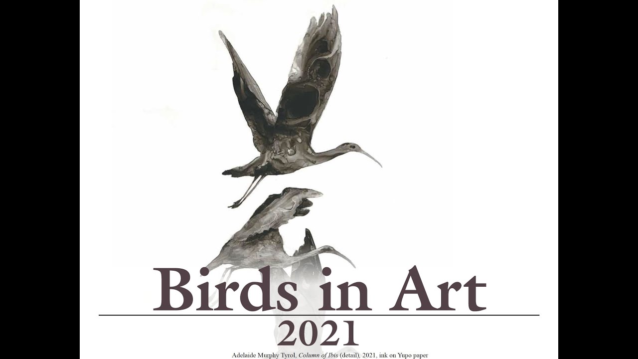 Adelaide Murphy Tyrol on "Column of Ibis" - YouTube