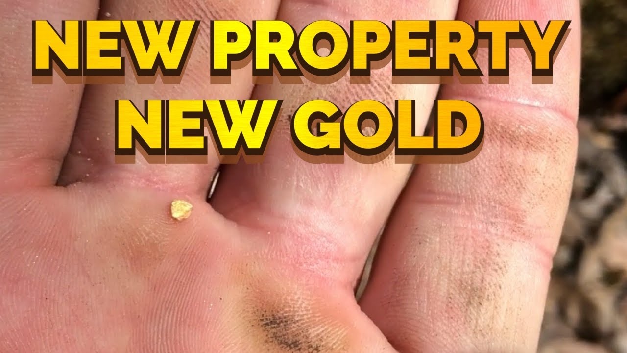 Gold Detecting Private Property - Gold Found! - YouTube