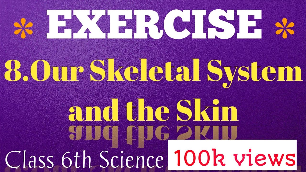 Exercise class 6 science 8. Our Skeletal System and the SkinI Question ...