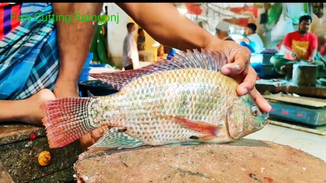 Mastering Big Tilapia: Expert Fish Cutting Techniques Unveiled in ...